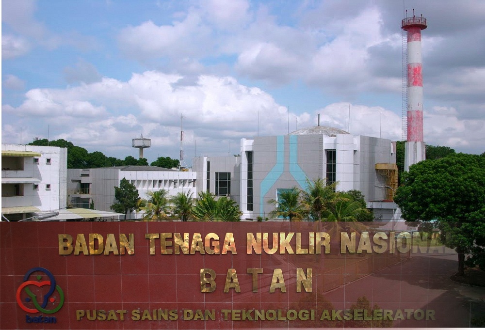 Dapat Izin dari Bapeten, Batan Siap Bangun RDE di Serpong | Minergy News