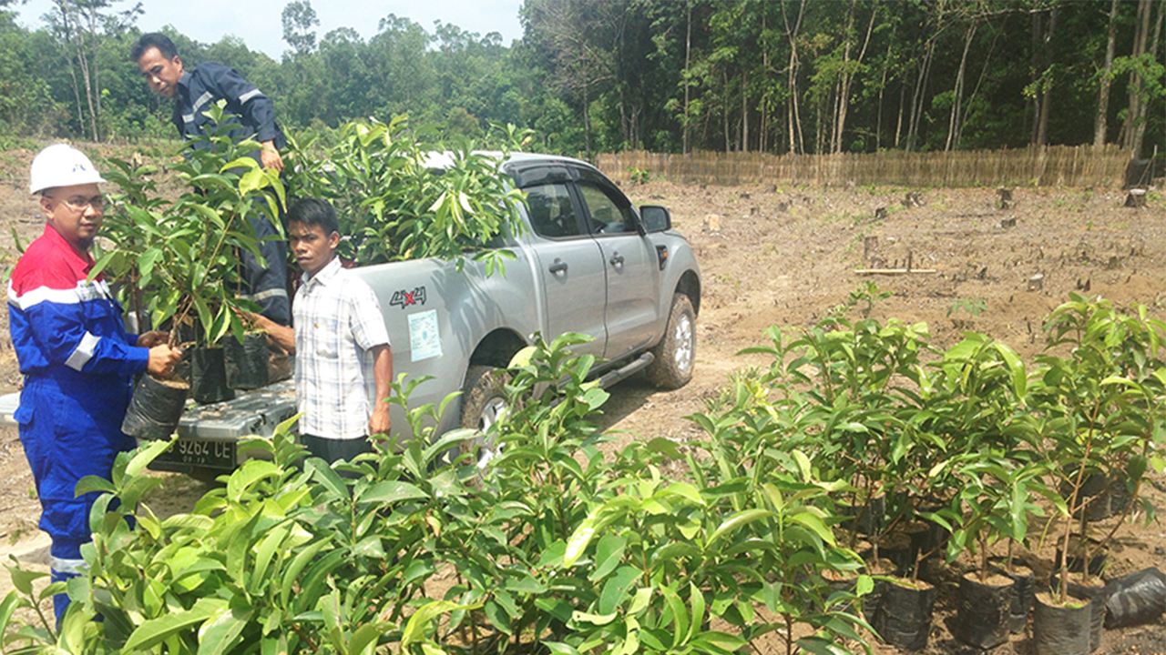 Perta Samtan Gas Bagikan 2.300 Bibit Buah untuk Petani Talang Dabok Ulu ...